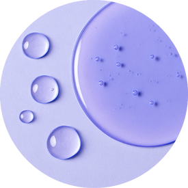 Blueberry Fields - Shampoo & Conditioner For Hair Growth – Humby Organics