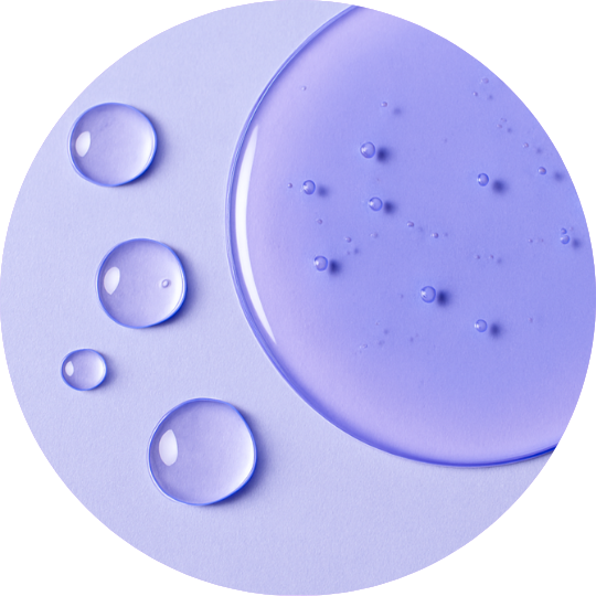 Blueberry Fields - Shampoo & Conditioner For Hair Growth – Humby Organics